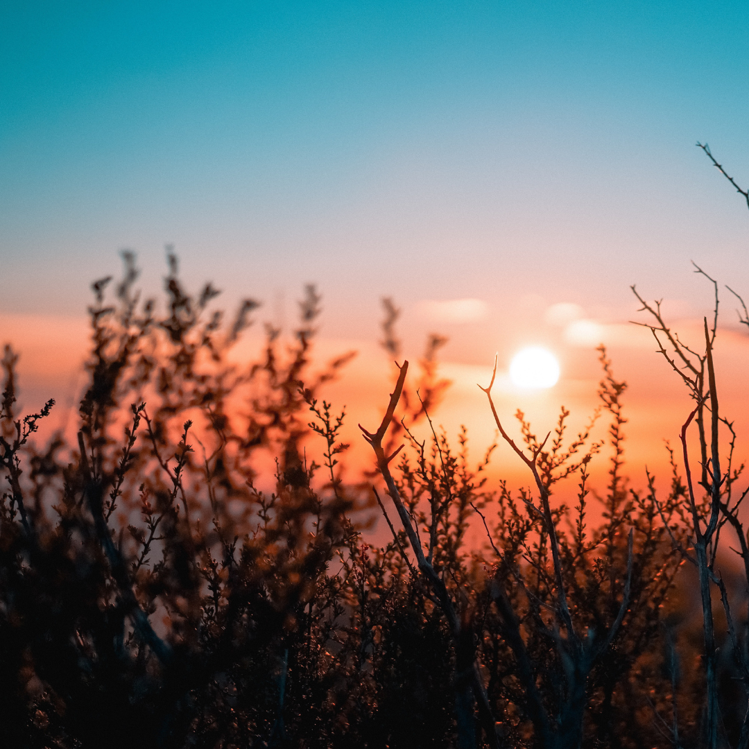 How to Build Your Brand as a Rising Aesthetic Injector